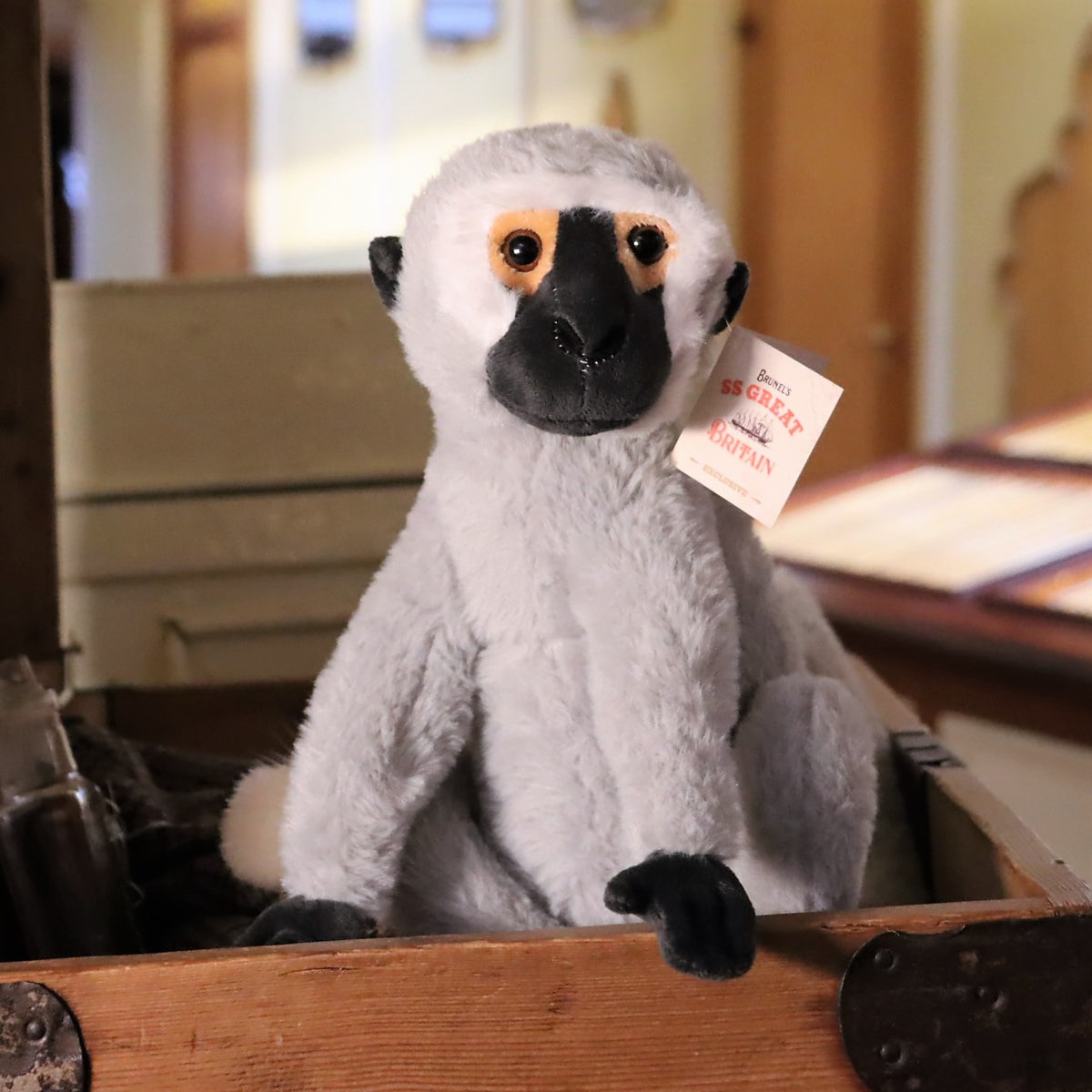 Sykes the Monkey – SS Great Britain Shop