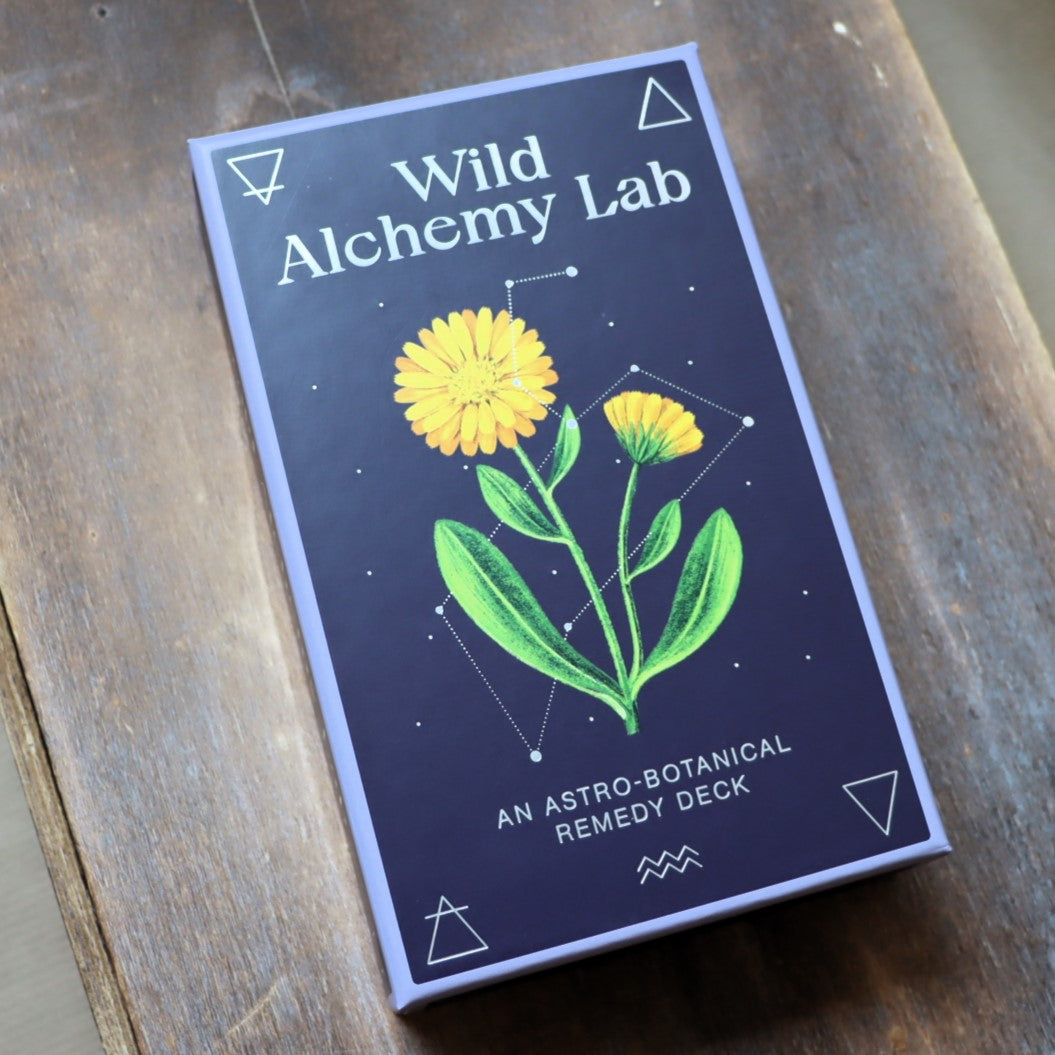 Wild Alchemy Lab – SS Great Britain Shop
