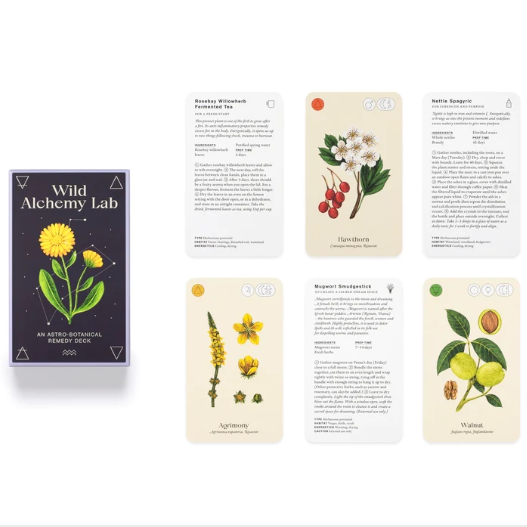 Wild Alchemy Lab – SS Great Britain Shop