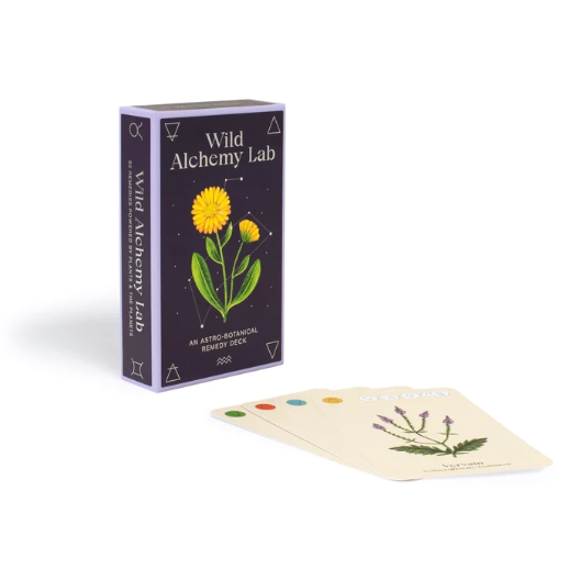 Wild Alchemy Lab – SS Great Britain Shop